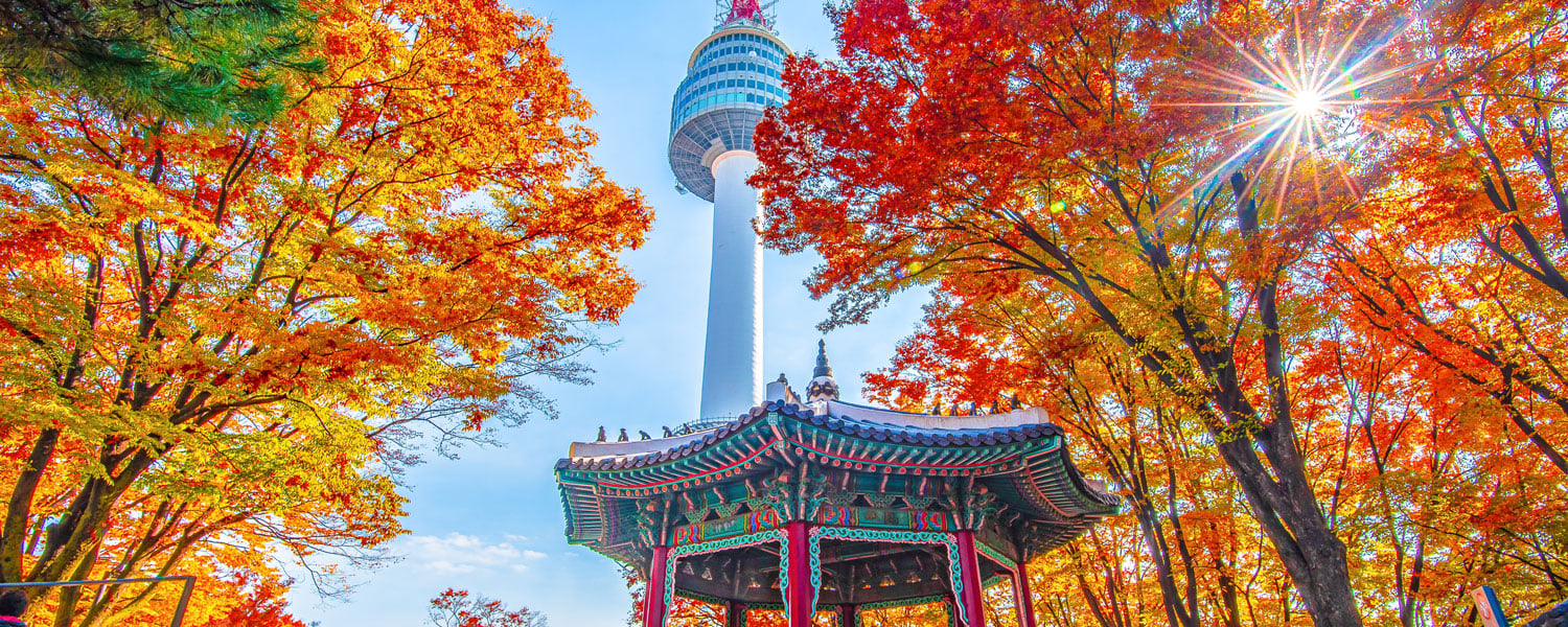 Travel Guide to visit 3 Major South Korea Cities - HK Express