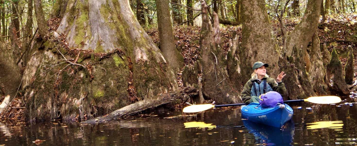 CONGAREE NATIONAL PARK | AAA Club Alliance