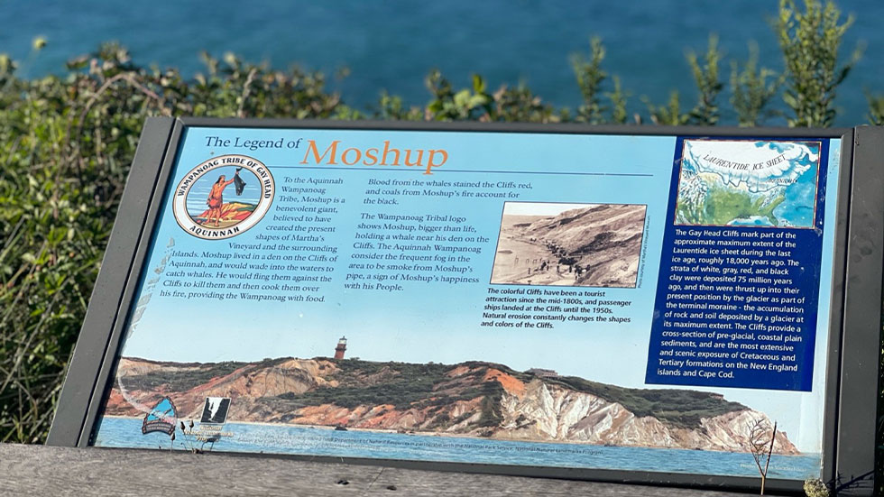 6 Charming Towns to Visit in Martha’s Vineyard | AAA Club Alliance