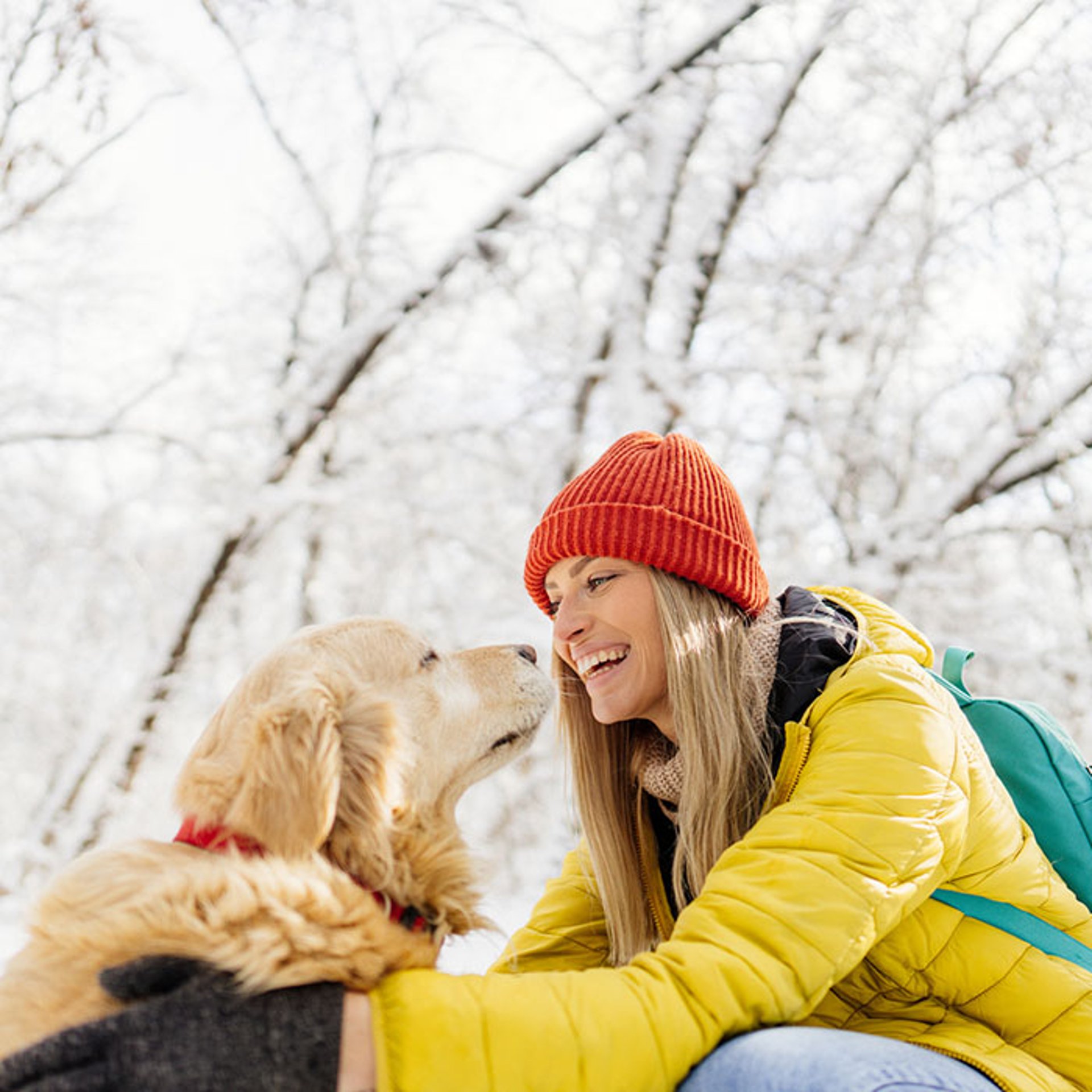 AAA Member Perks, Benefits & Discounts | AAA Club Alliance