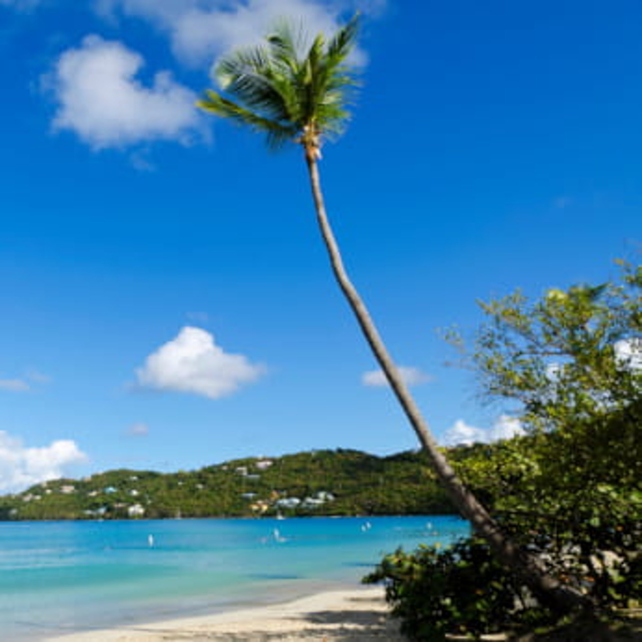 AAA Travel Agency | AAA Club Alliance