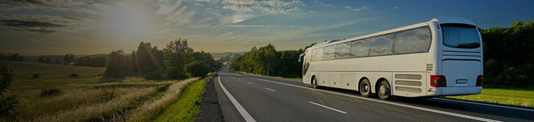 AAA Travel Agency | AAA Club Alliance