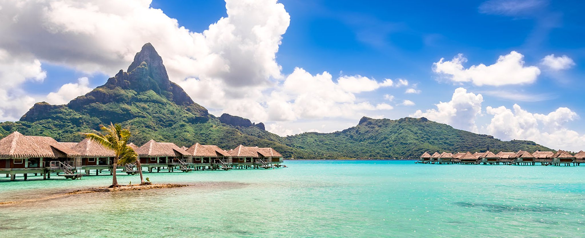 AAA Travel Independent Contractor | AAA Club Alliance