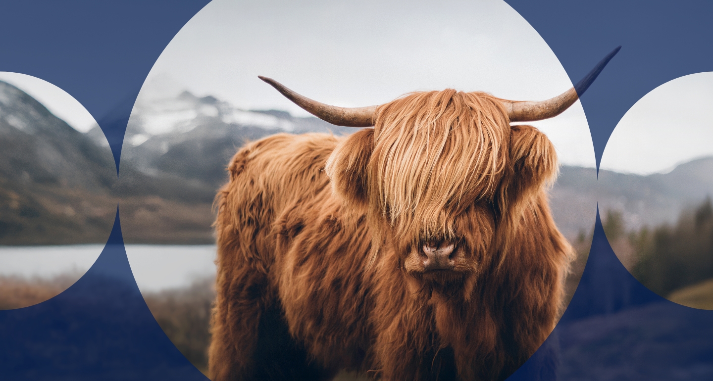 Aberdeen House View: Navigating a volatile macro and market regime