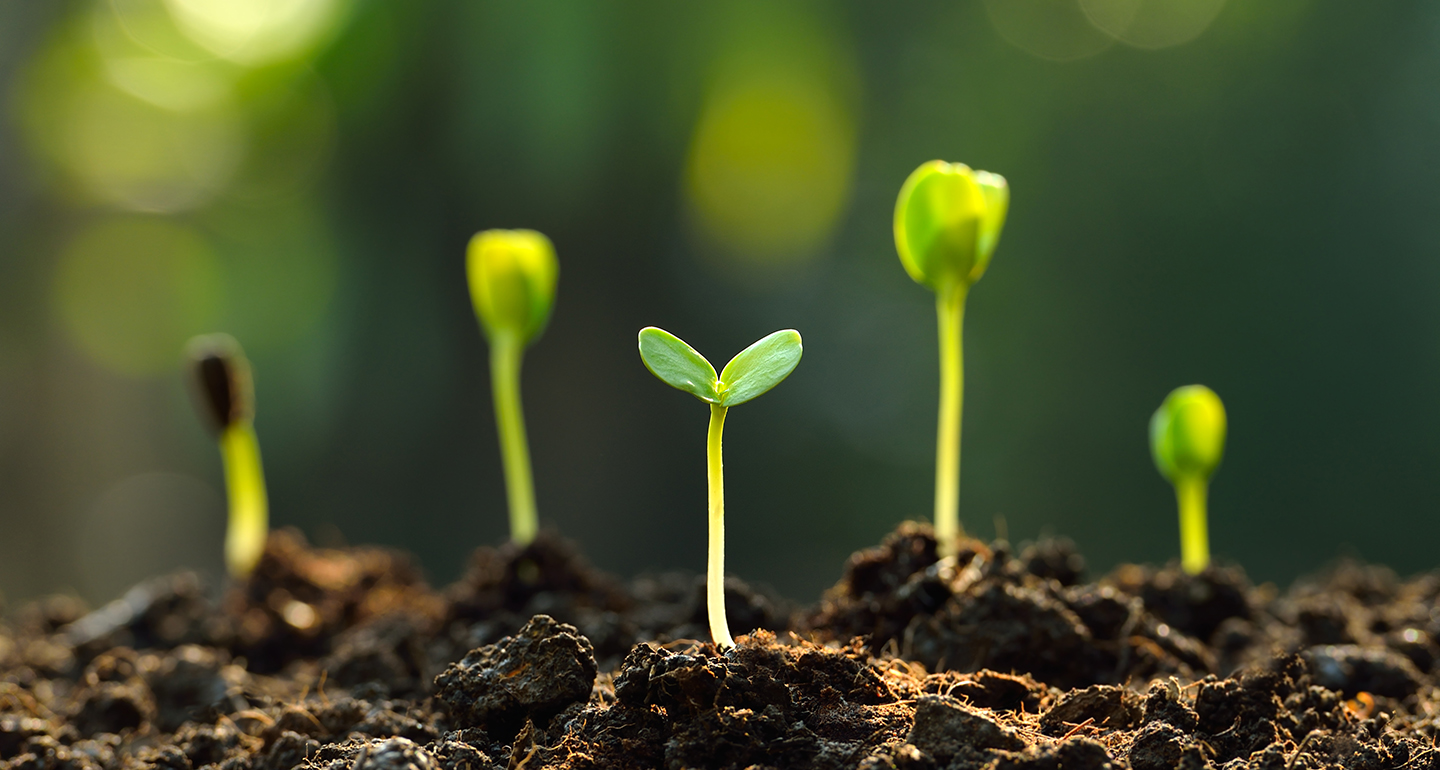Climate Transition Bonds: seven sustainable investing takeaways | Aberdeen