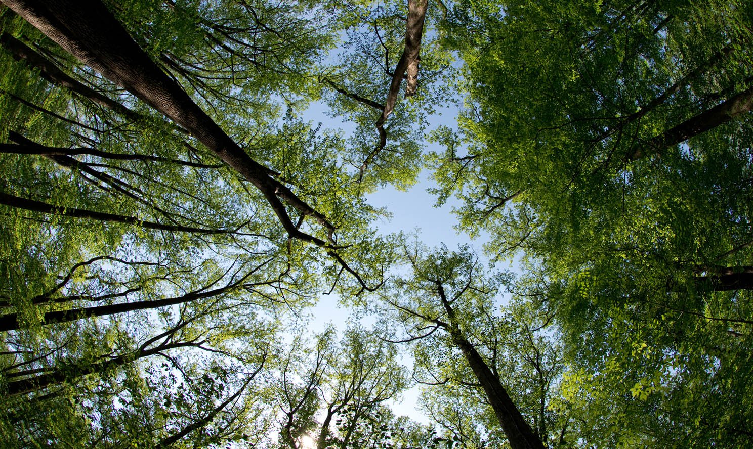 Environmental Insurance and Why You May Need It | Acrisure