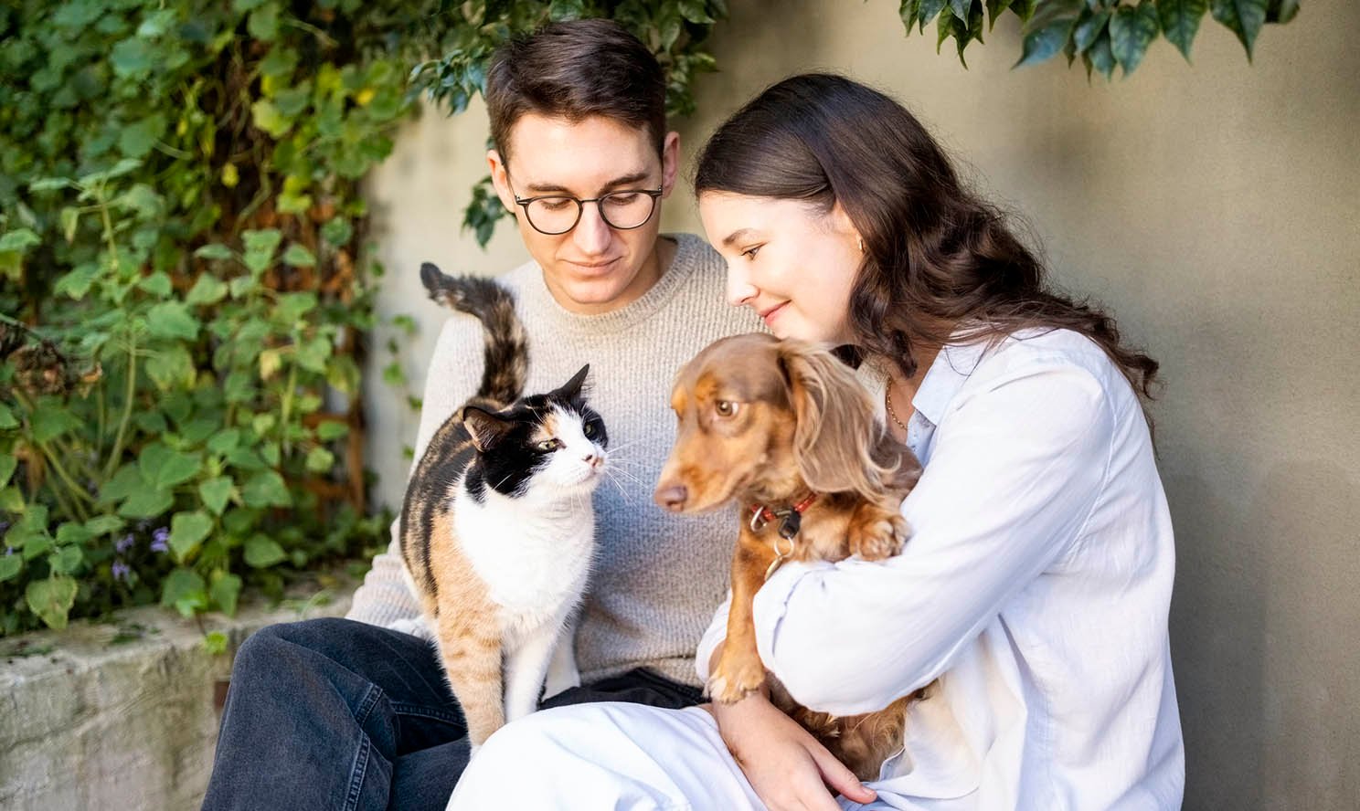 How Does Pet Insurance Work? | Acrisure