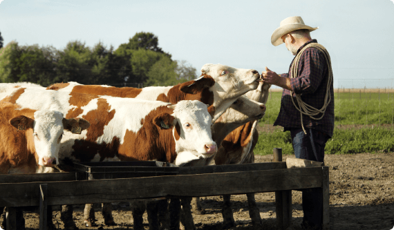 Farm and Ranch Insurance Coverage | American Family Insurance