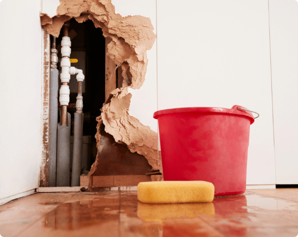 Homeowners insurance endorsements and riders | American Family Insurance