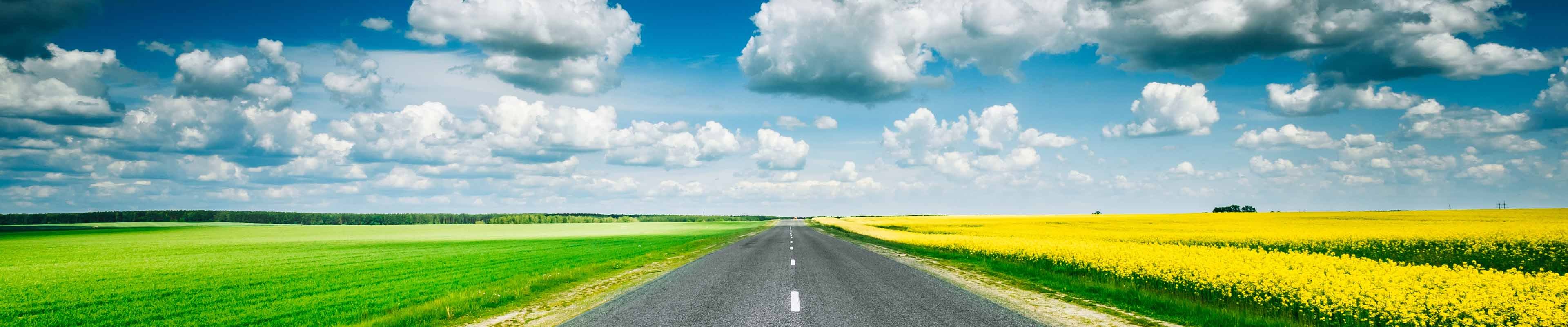 Spring Driving Safety Tips | American Family Insurance