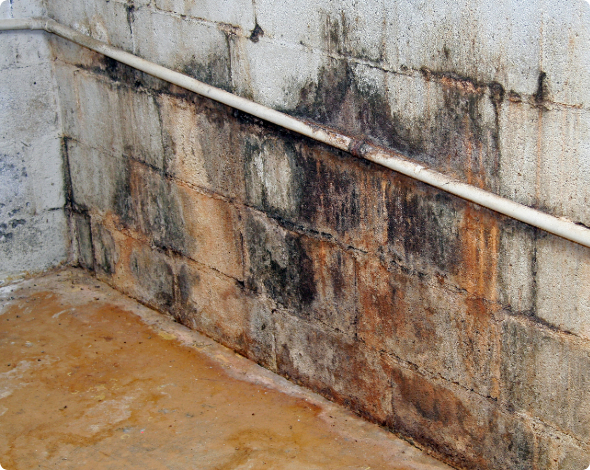 How to clean a wet basement | American Family Insurance
