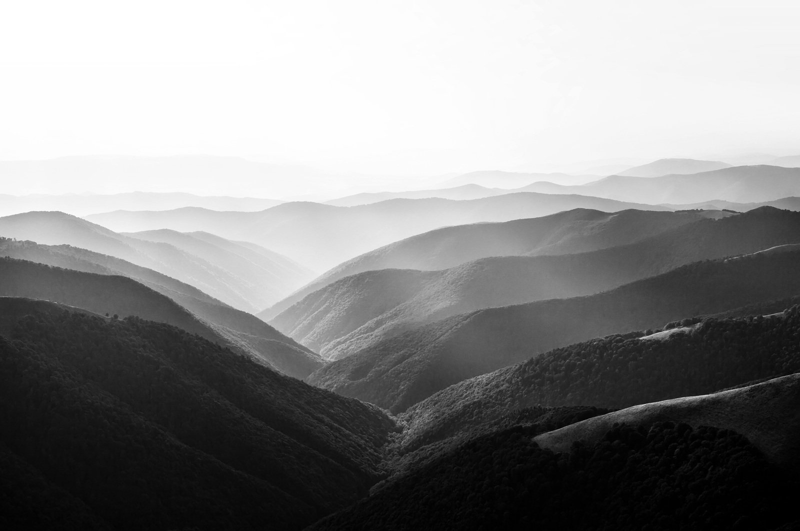 Sustainability Outlook 2026 | A&O Shearman