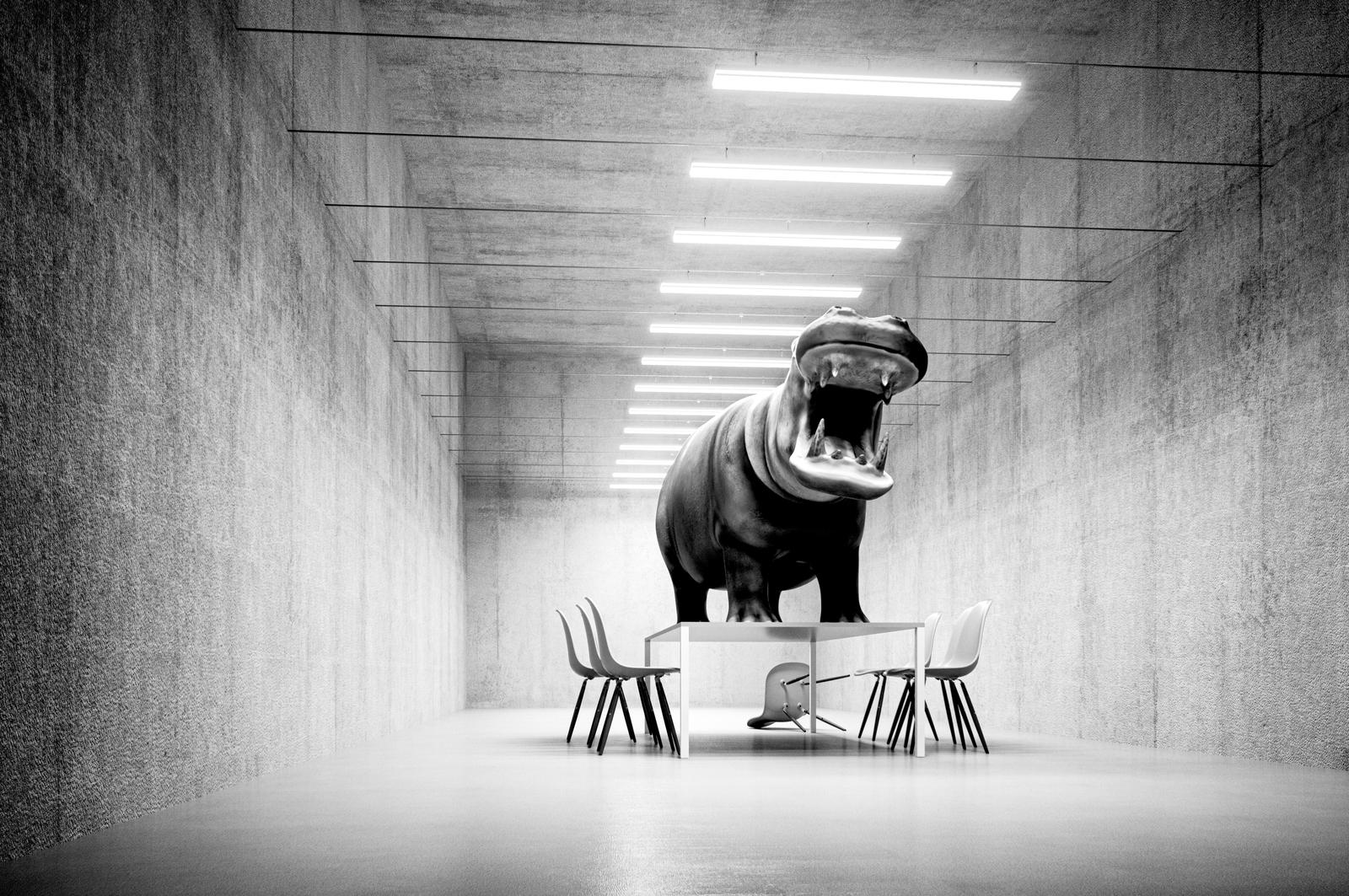 Springwell Navigation Corp v JPMorgan Chase Bank & ors - "Non-Reliance ...