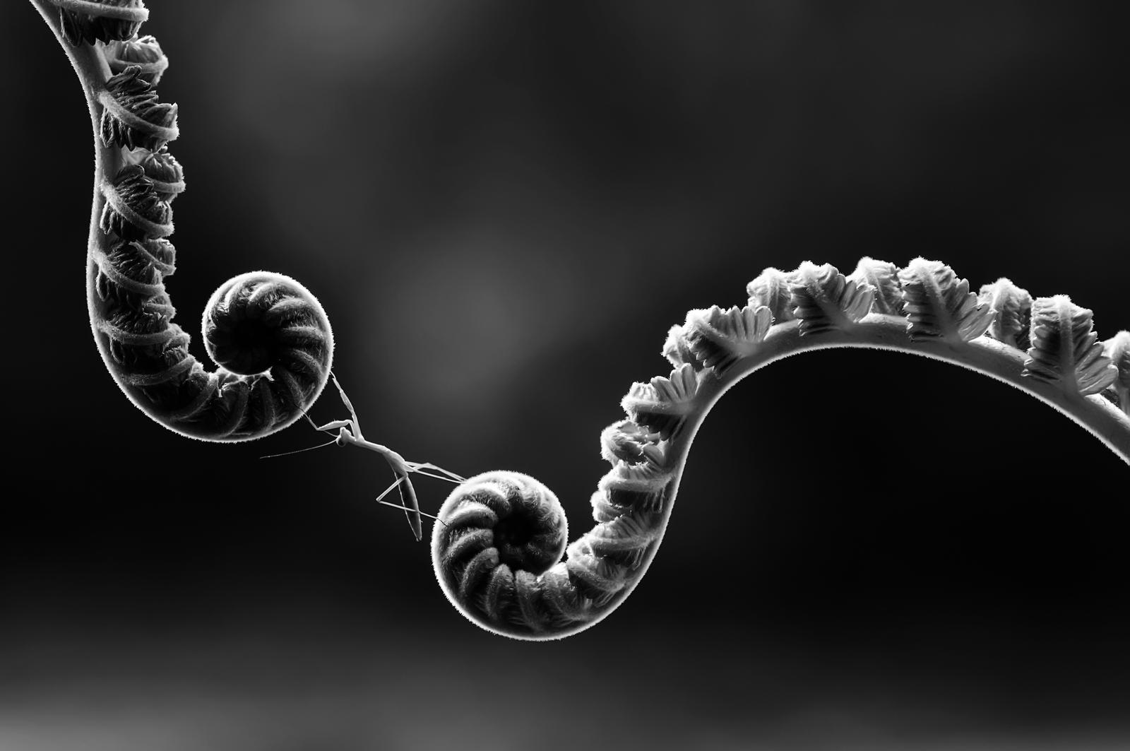 Service levels and service credits tips and tricks - A&O Shearman