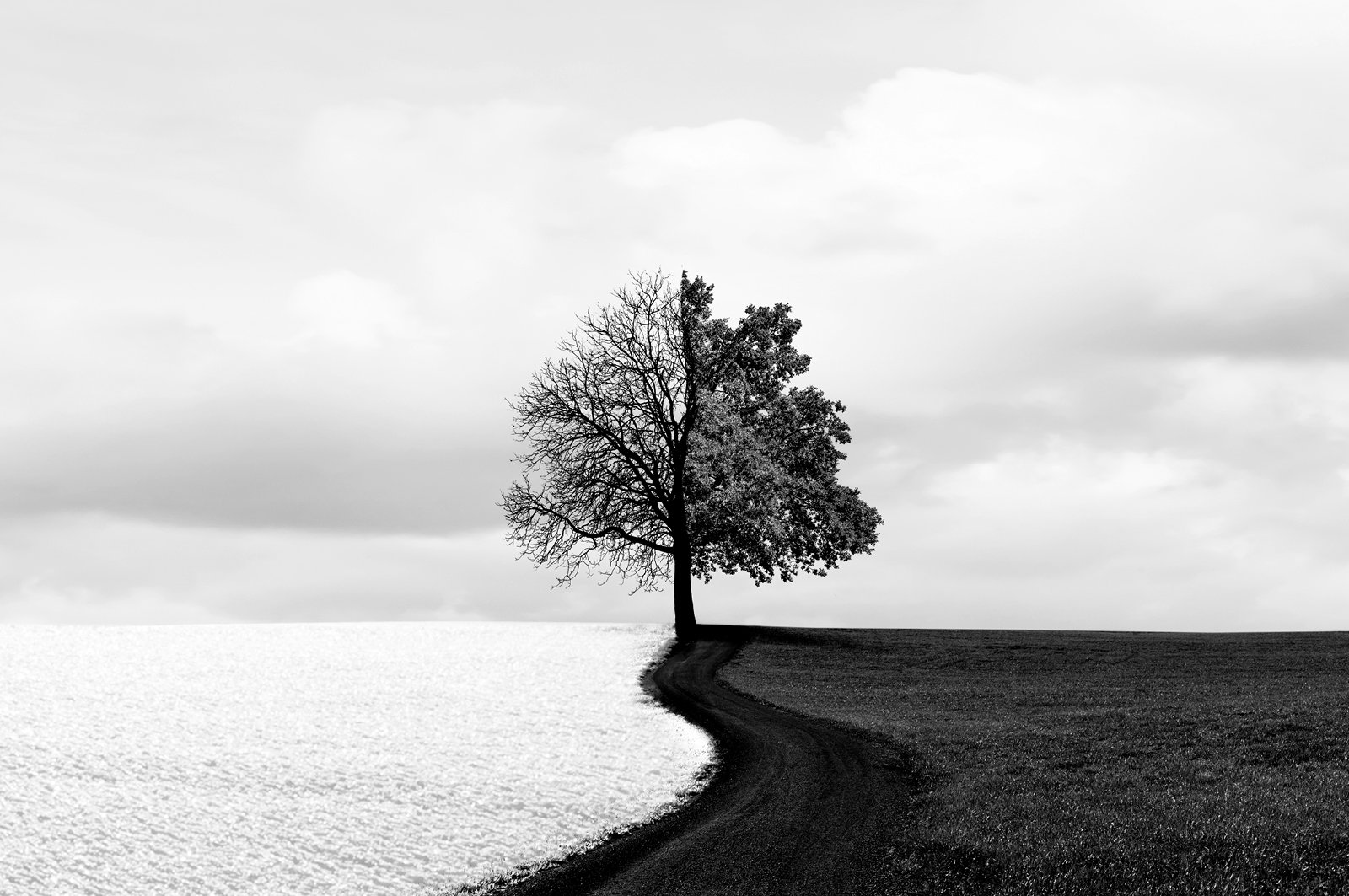 global-trends-in-merger-control-enforcement - A&O Shearman