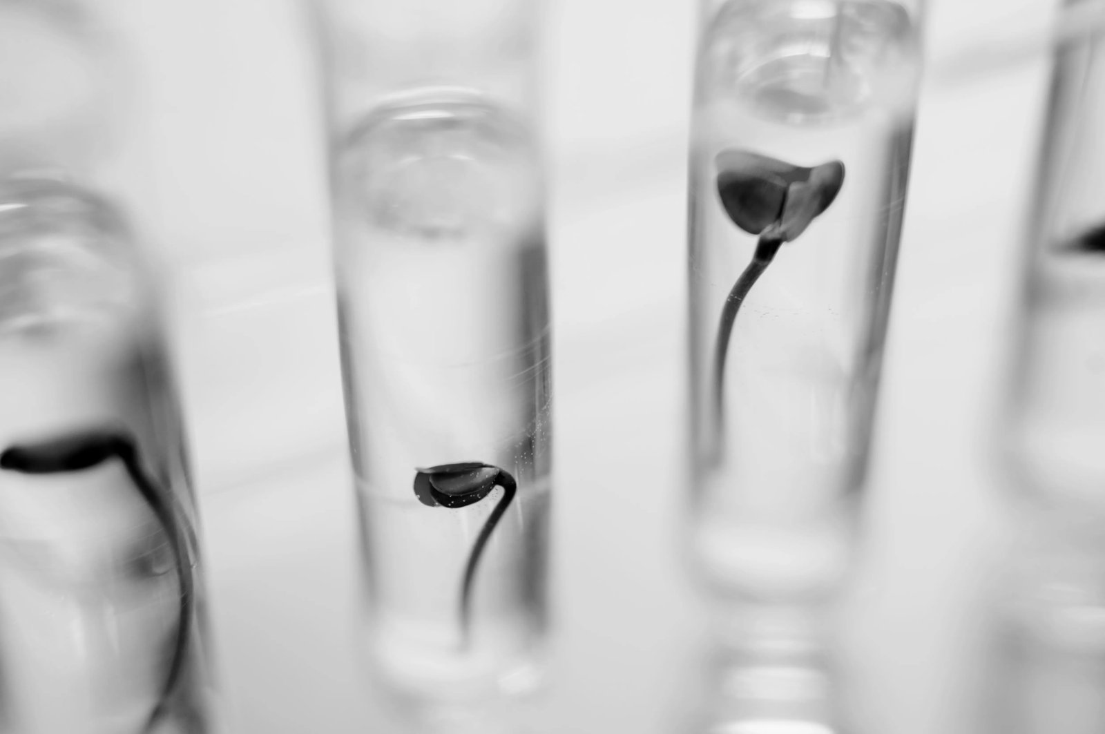 Chemicals sector restructuring and investment outlook