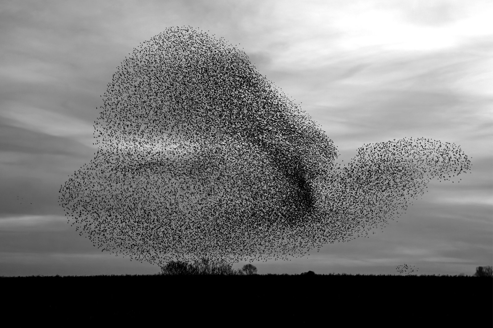 A&O Shearman promotes 33 new partners