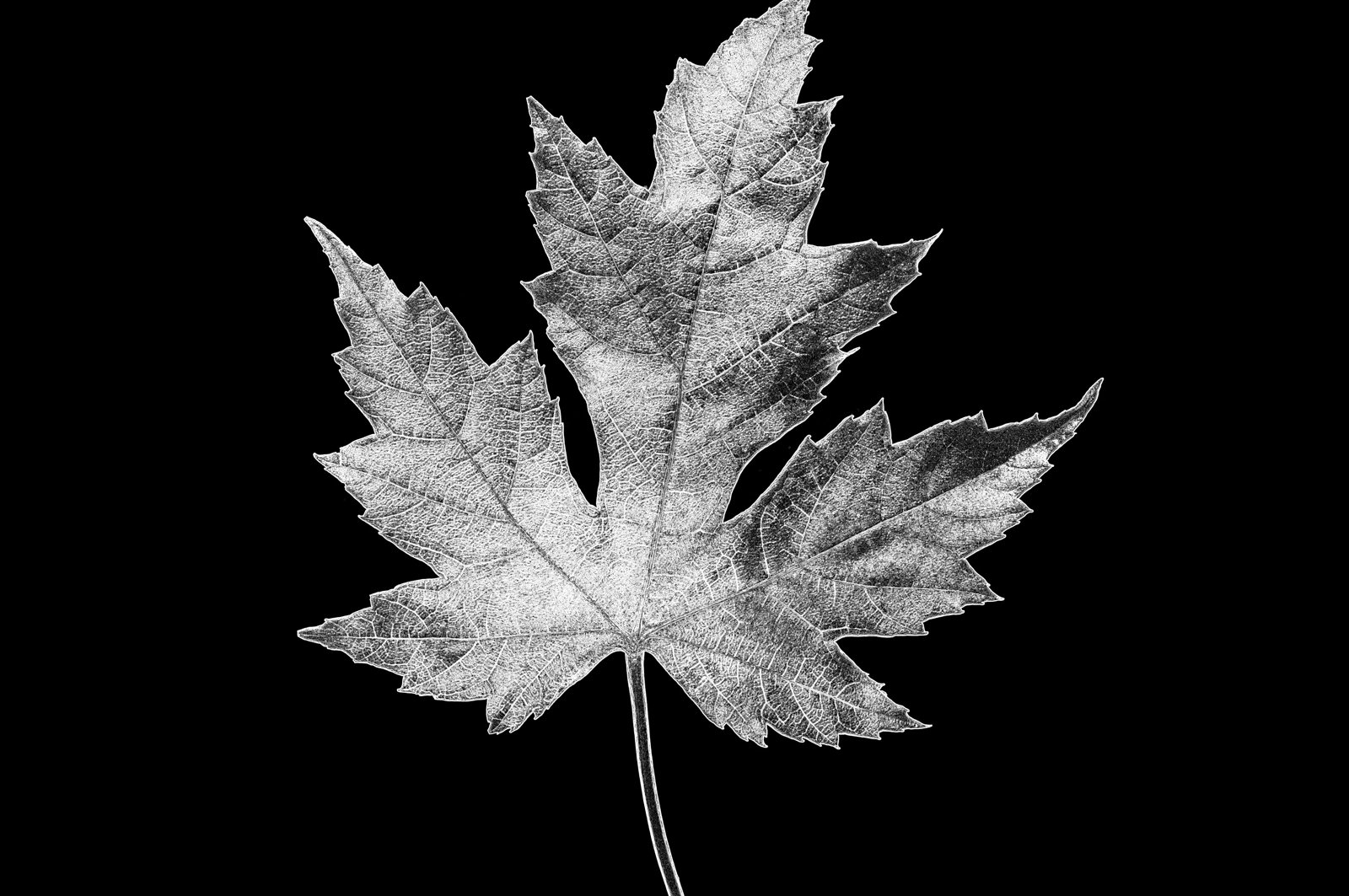 CDP Financial Inc.’s EUR1.0 billion senior notes offering - A&O Shearman