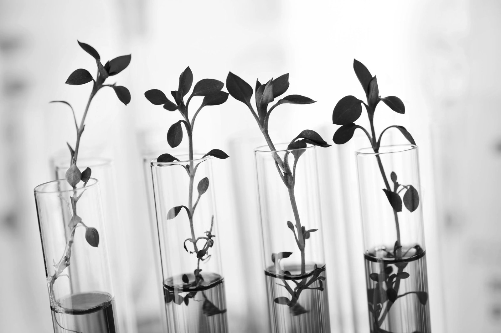 A&O Shearman guides Genmab’s USD6 billion bank/bond financing