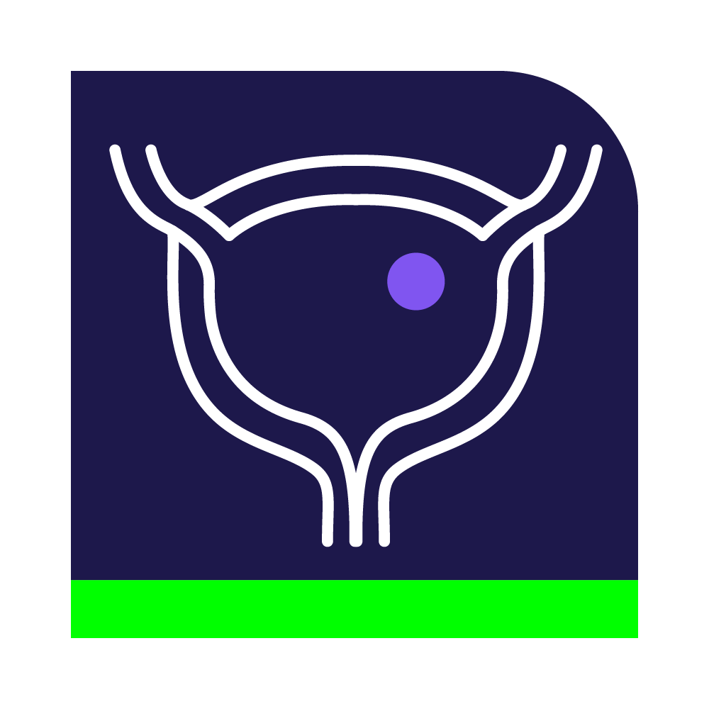 ACR Vesical Imaging Reporting and Data System (VI-RADS™)