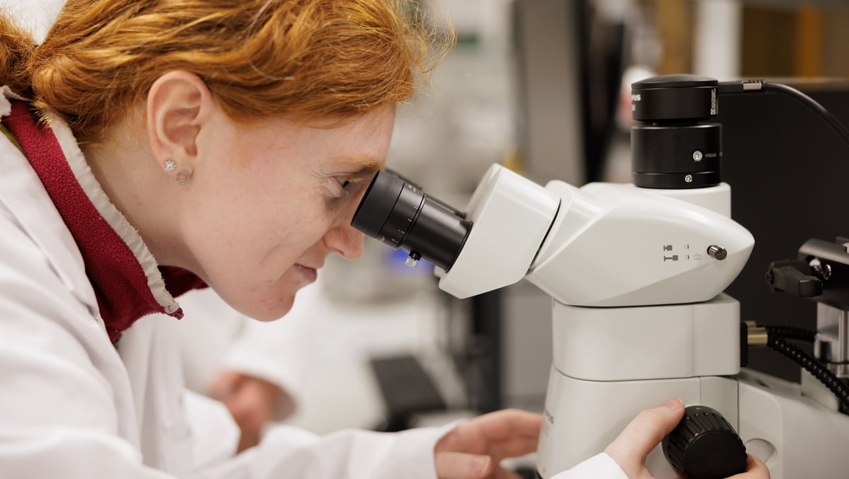 Direkteinstieg | ASML in Berlin