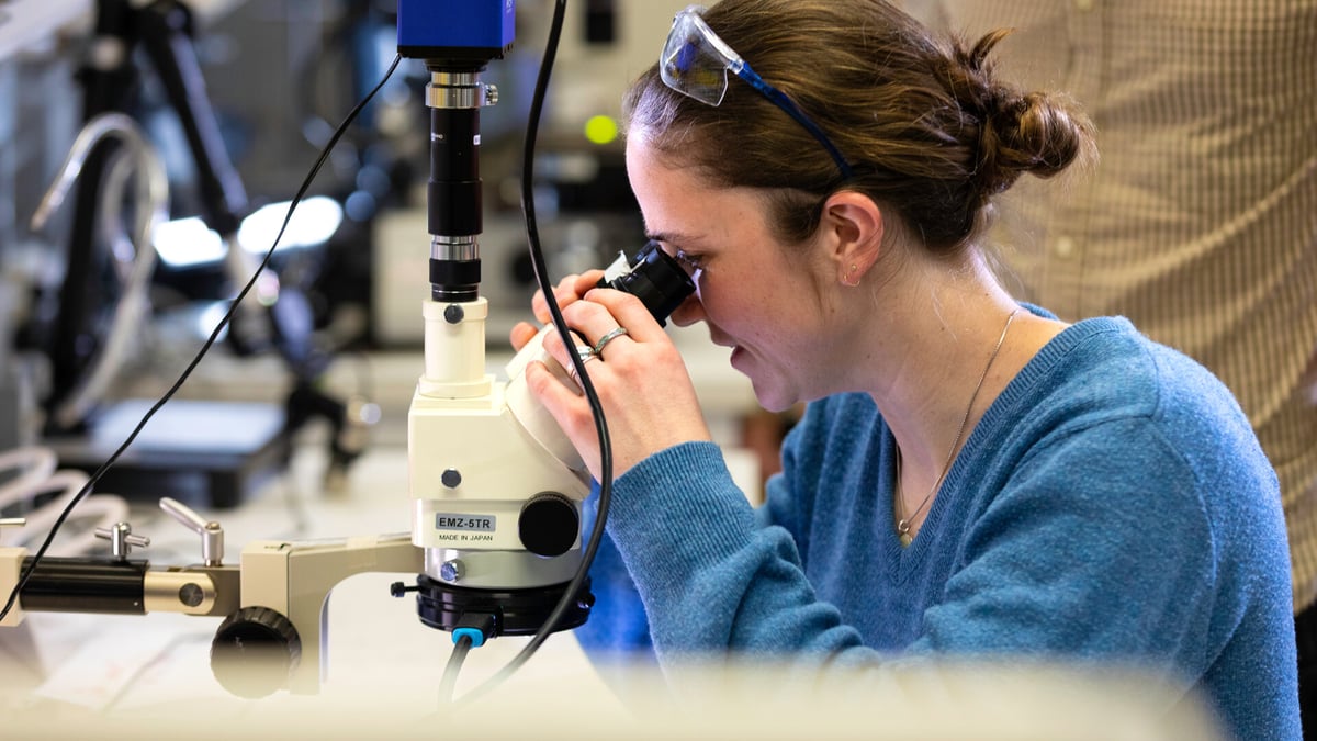 Electron optics jobs | ASML careers