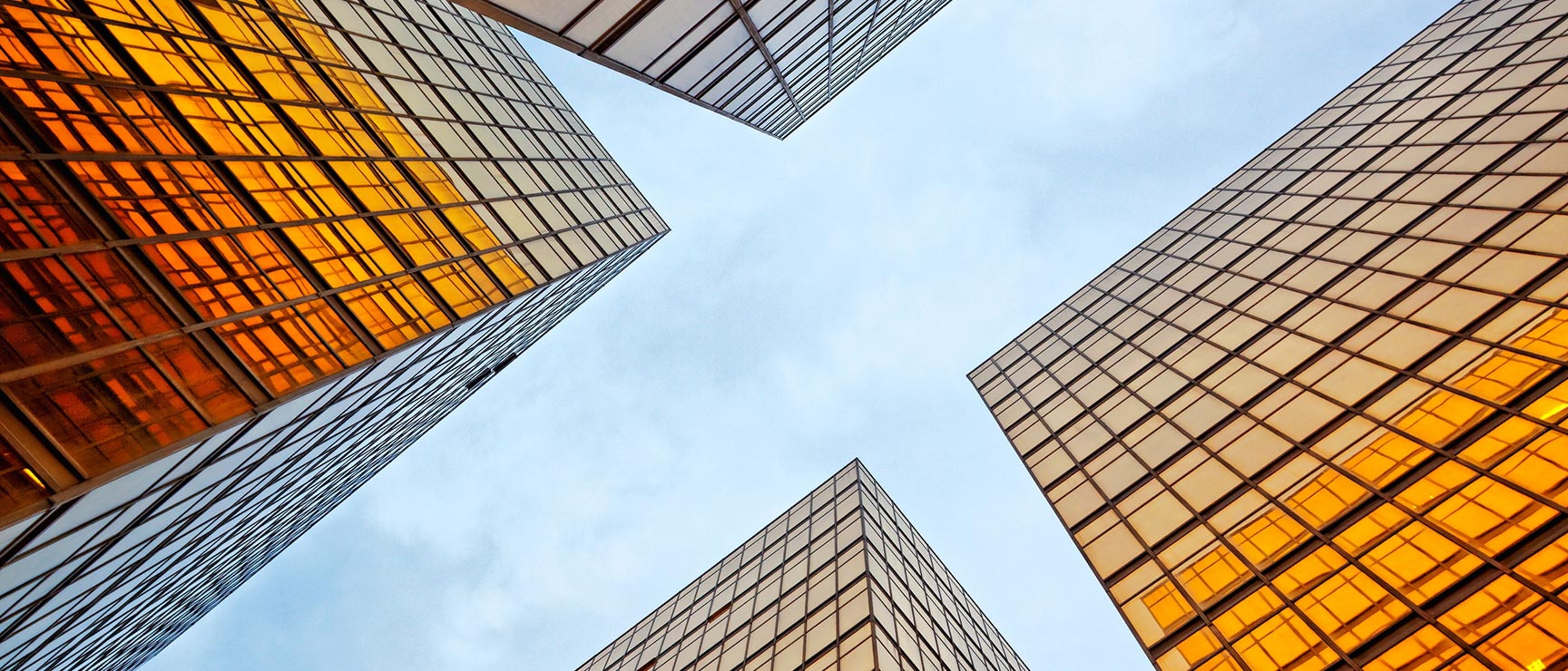 Executive Leadership & Board of Directors | Avanade