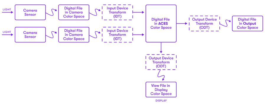 Decoding the Academy Color Encoding System (ACES)—What Editors Need to Know