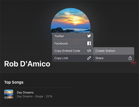 Discover Your Artist ID on AvidPlay - Avid
