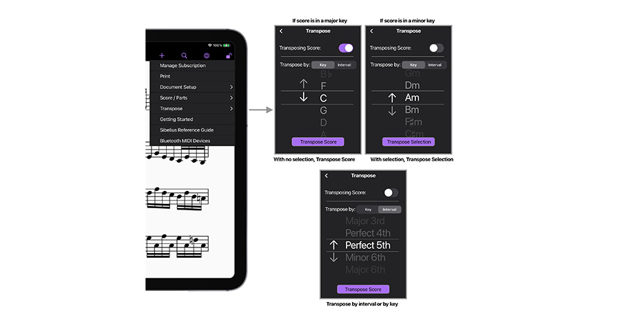 Get more Insights on Sibelius 2022.4 Updates - Avid