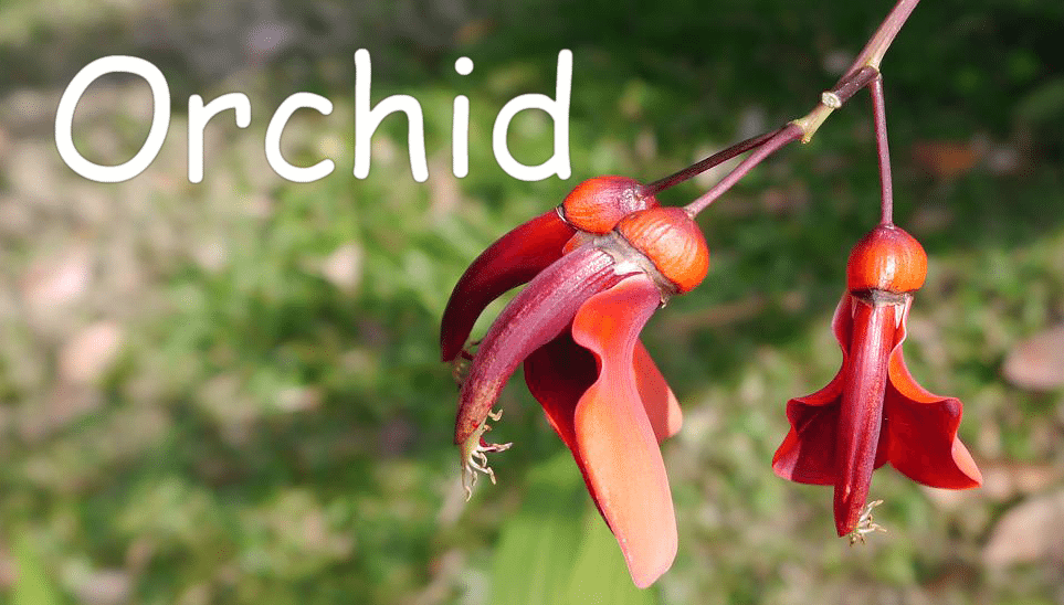 The Terrible Word “Premultiplied” Explained