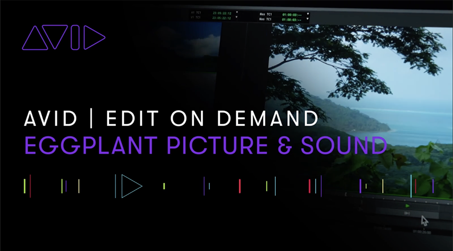 Saas post-production with Avid | Edit On Demand