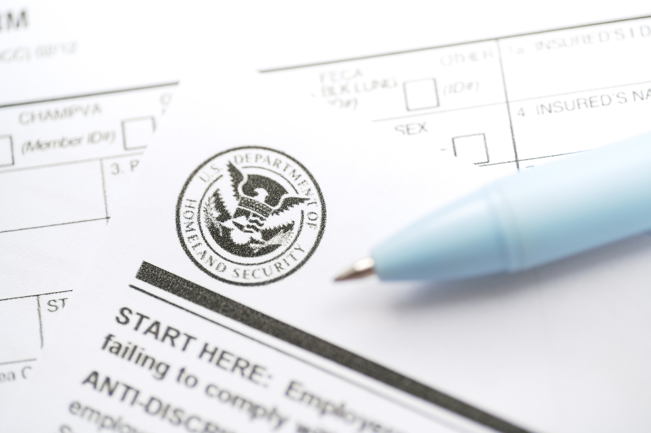 Department of Homeland Security Ends Temporary Protected Status for ...