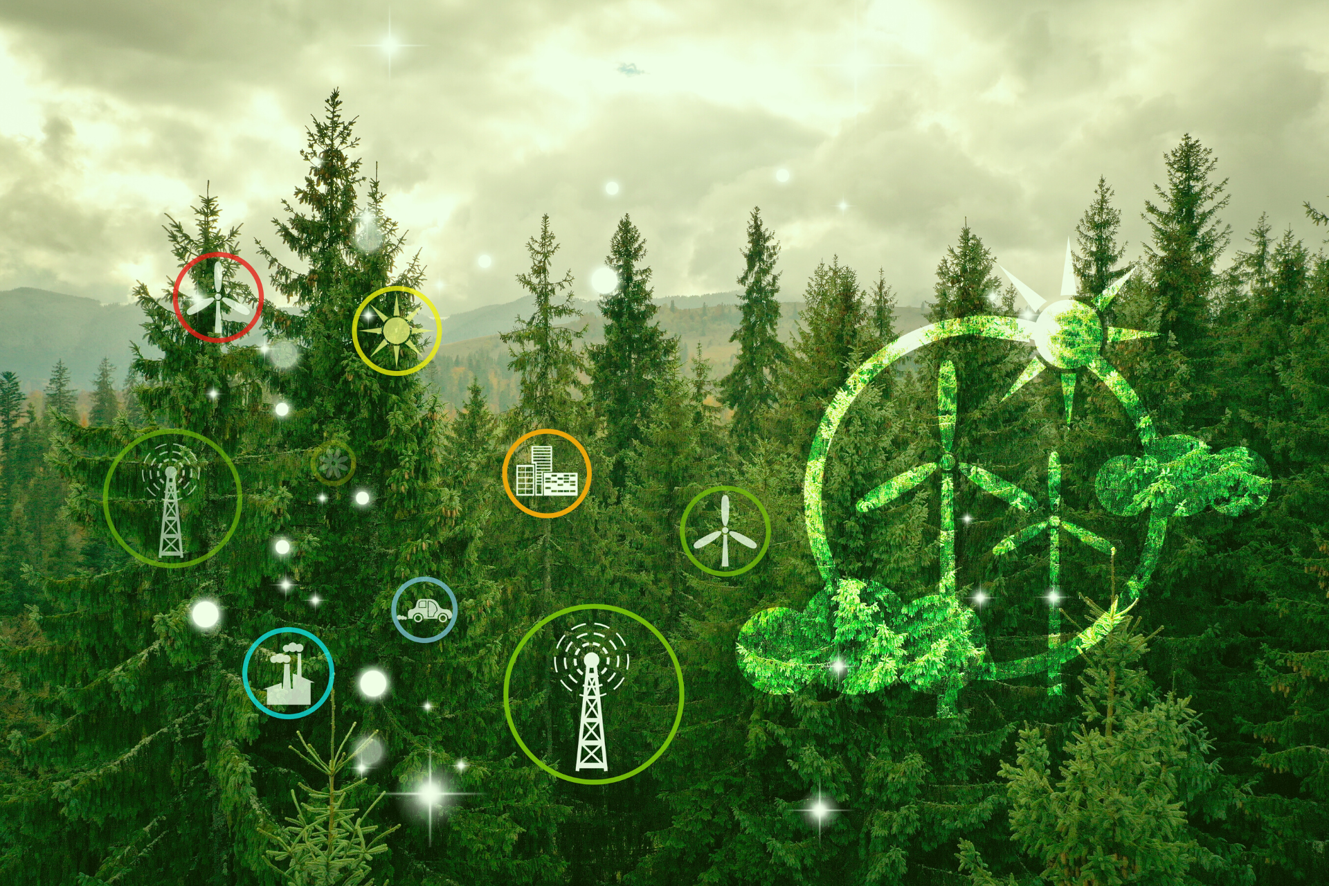 Cutting Carbon Biden White House Sets Bold 2035 Climate Goals | Barnes ...