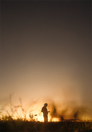 24/7 Support for Anxiety, Depression and Suicide Prevention. - Beyond Blue