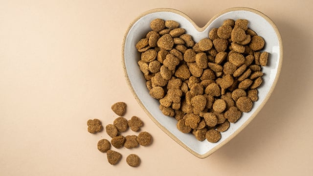 Nestlé Purina、Blue Yonderを活用して店舗での成功を収める