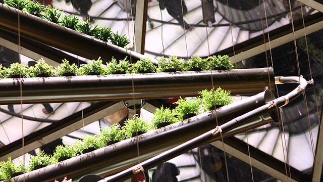 Blue Yonder Control Tower Champions Customer Service and Sustainability ...