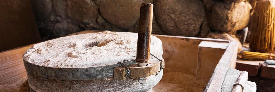 The evolution of food production - Brunel