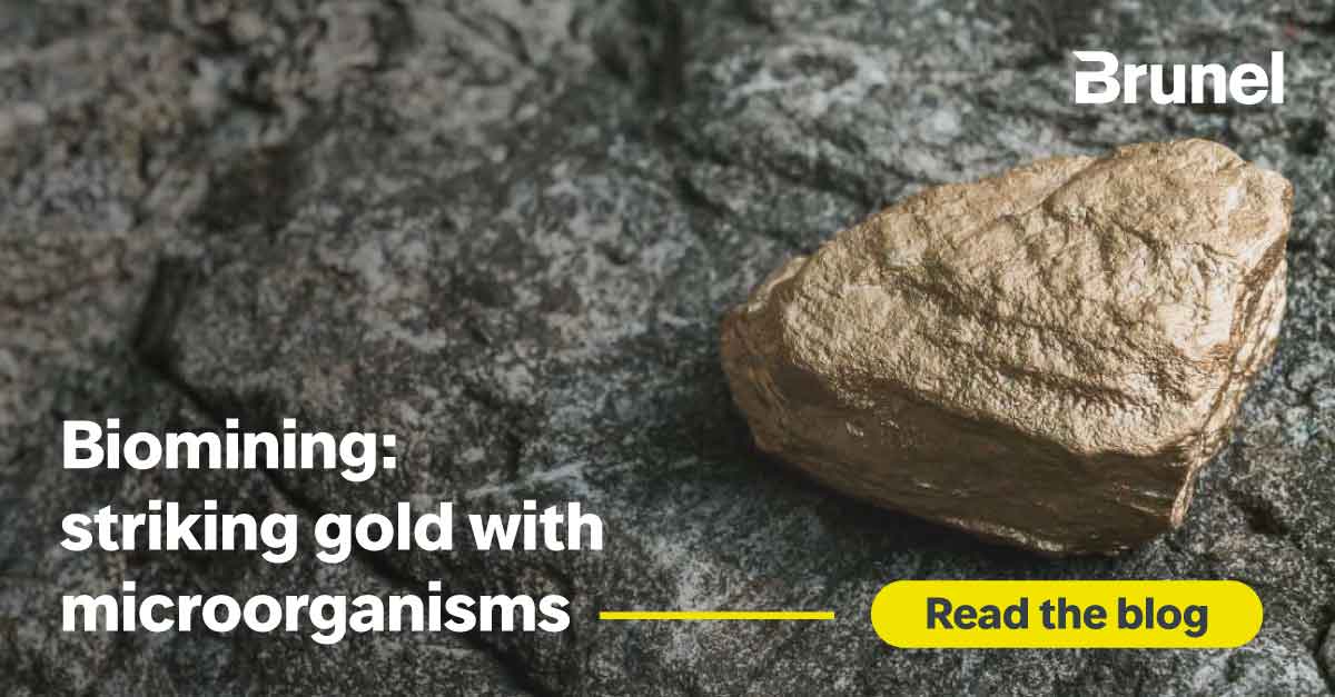 Biomining: A natural alternative to traditional mining