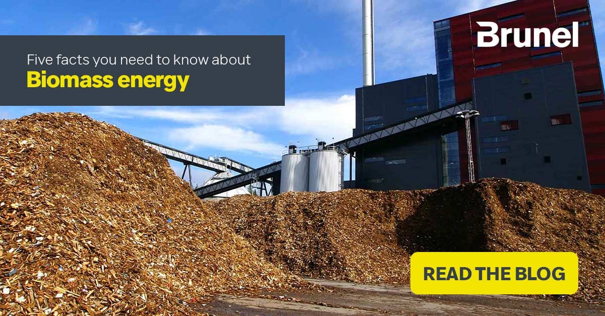 Five facts you need to know about biomass energy - Brunel
