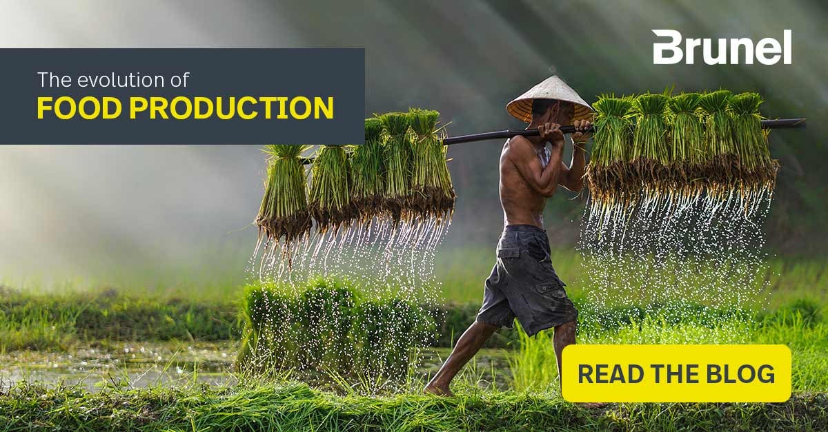 The evolution of food production - Brunel