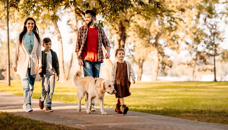 Let’s get physical! The many benefits of creating lifelong, healthy ...
