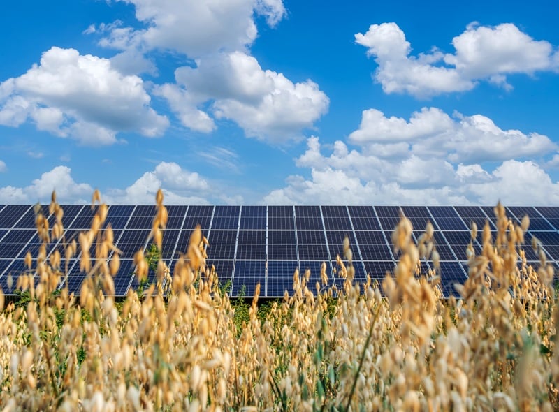 CIMIC Group | Sustainability