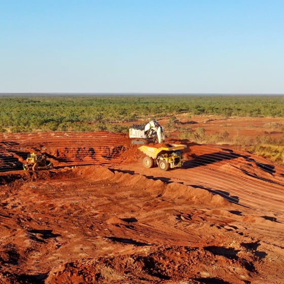 Anthill project Anthill project