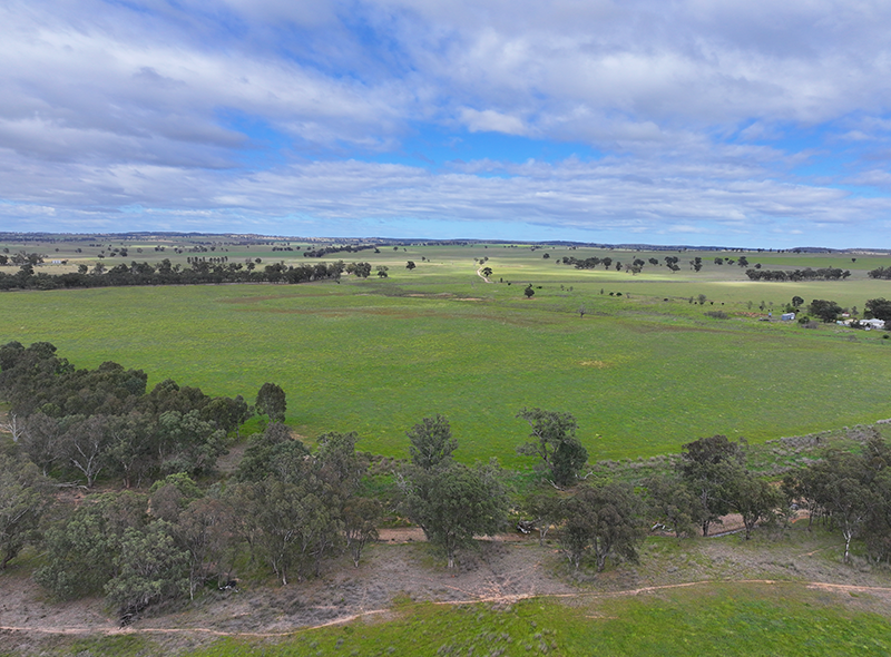 Cobbora Project granted access rights.