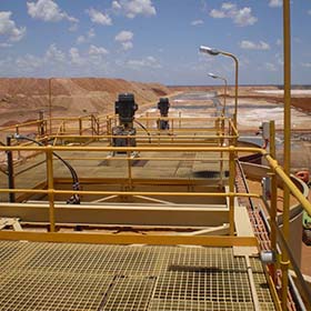 Coyote Gold Project | Western Australia