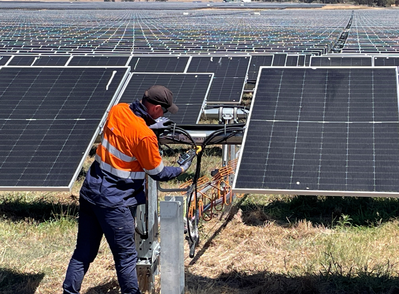 Glenrowan Solar Farm celebrates one year of clean energy
