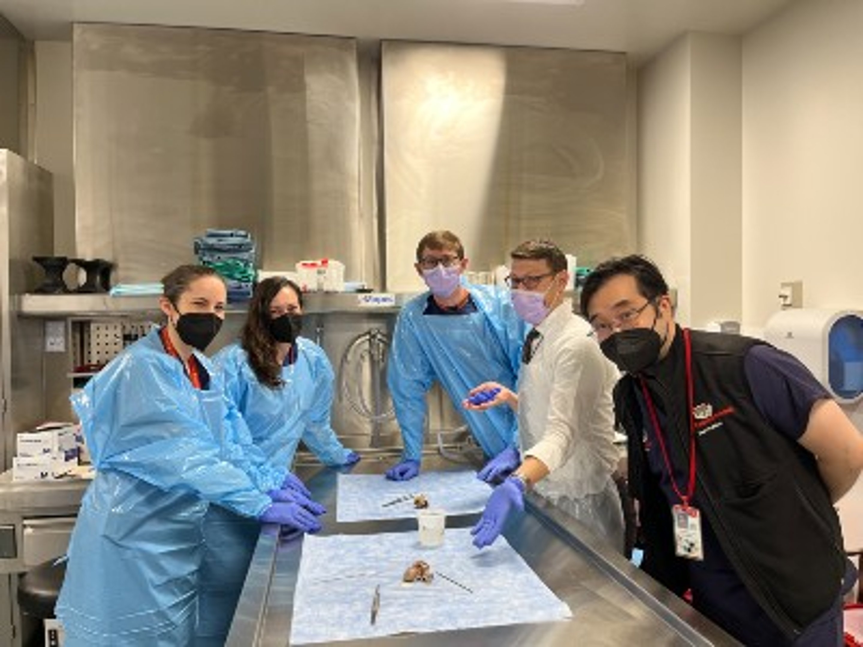 Curriculum - Cardiology Fellowship | Children's National Hospital