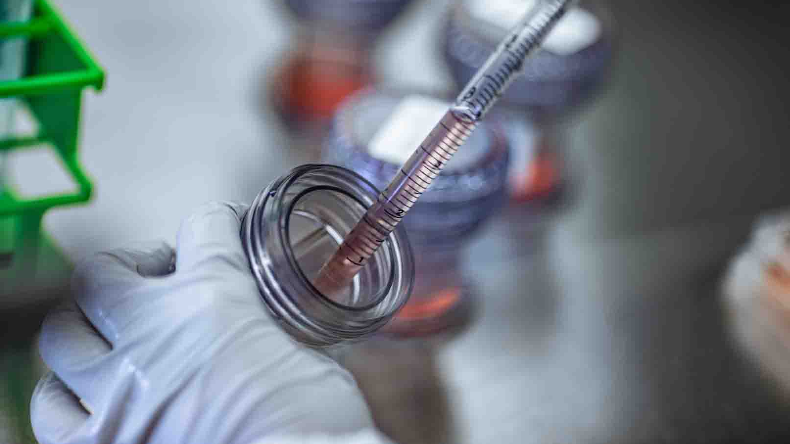 Center for Cancer & Immunology Research | Children's National Research ...