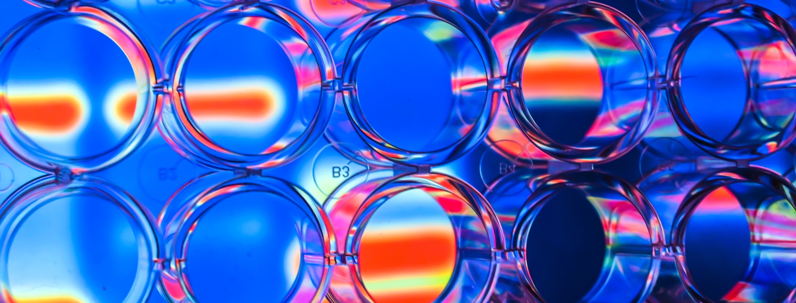 AI-assisted life science innovation: Key IP considerations for ...